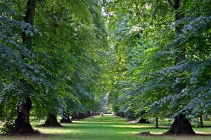 Pedington Manor - things to do - Kate & Tom's