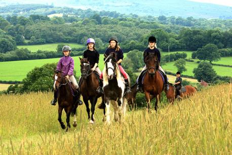 The Willows - Sussex Holiday Home | kate & tom's