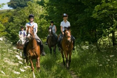 Halula Gem | kate & tom's