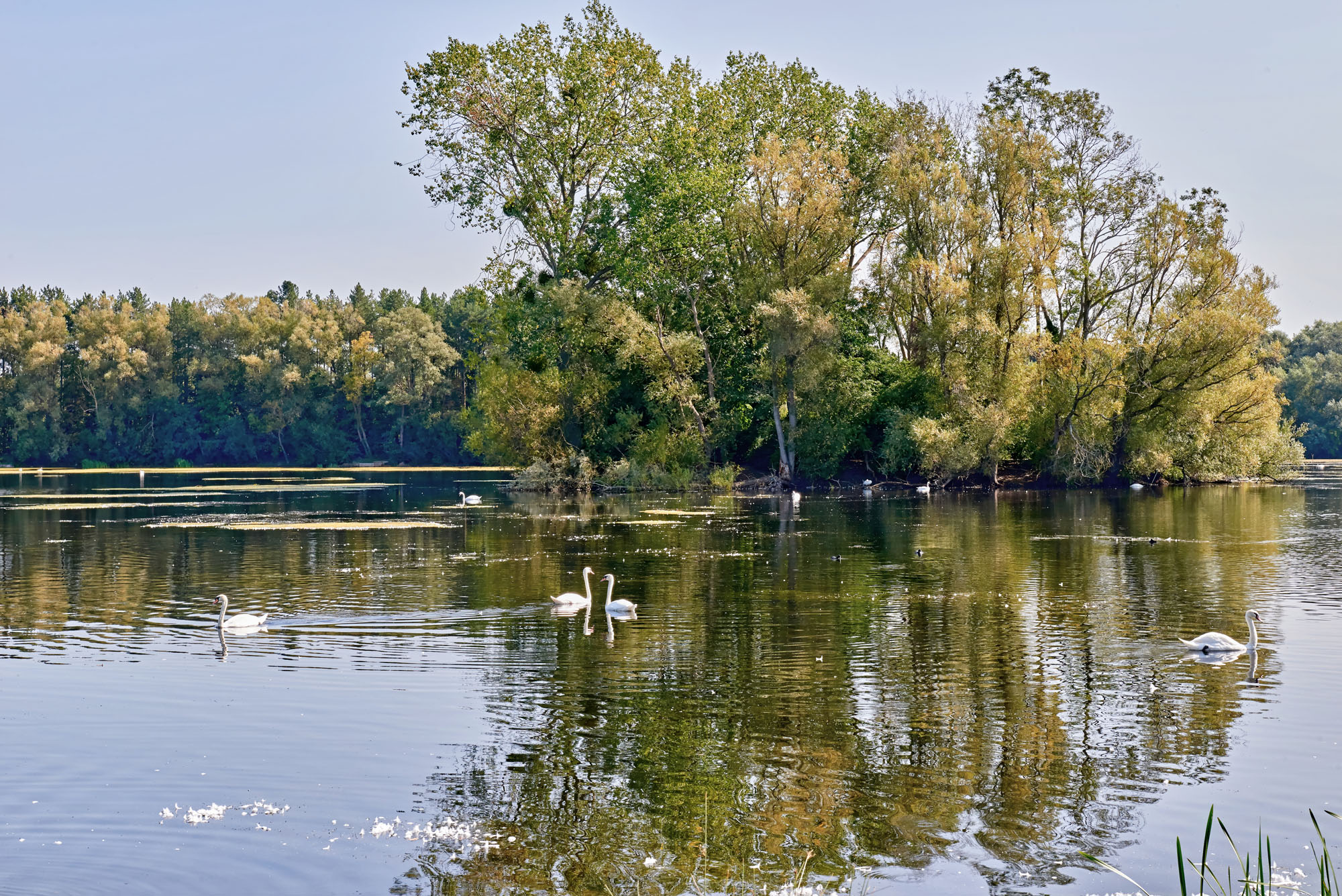 Frampton Court - things to do - Kate & Tom's