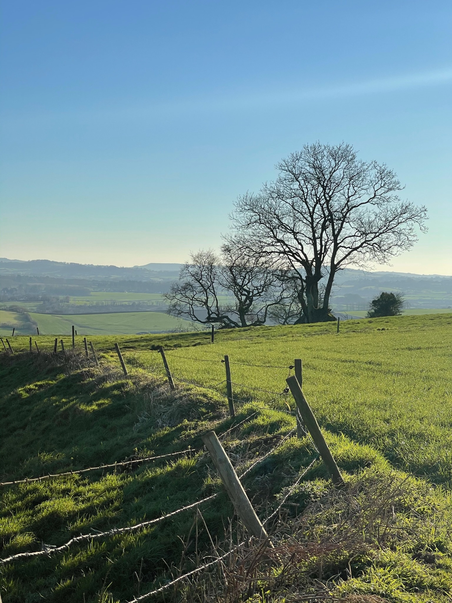 Luxury Party Houses in Somerset | kate & tom’s